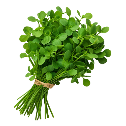 Buy Fresh Methi Bunch Online Variety Foods UK