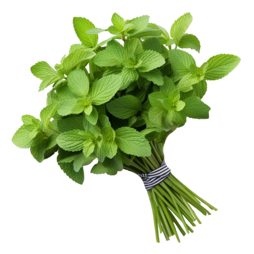 Buy Fresh Mint Bunch Online – Variety Foods UK