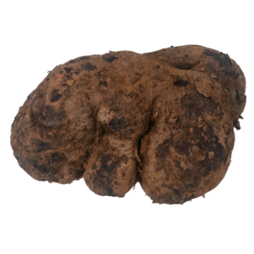 Buy Ratalu 250g Online – Fresh Indian Vegetables | Variety Foods ...